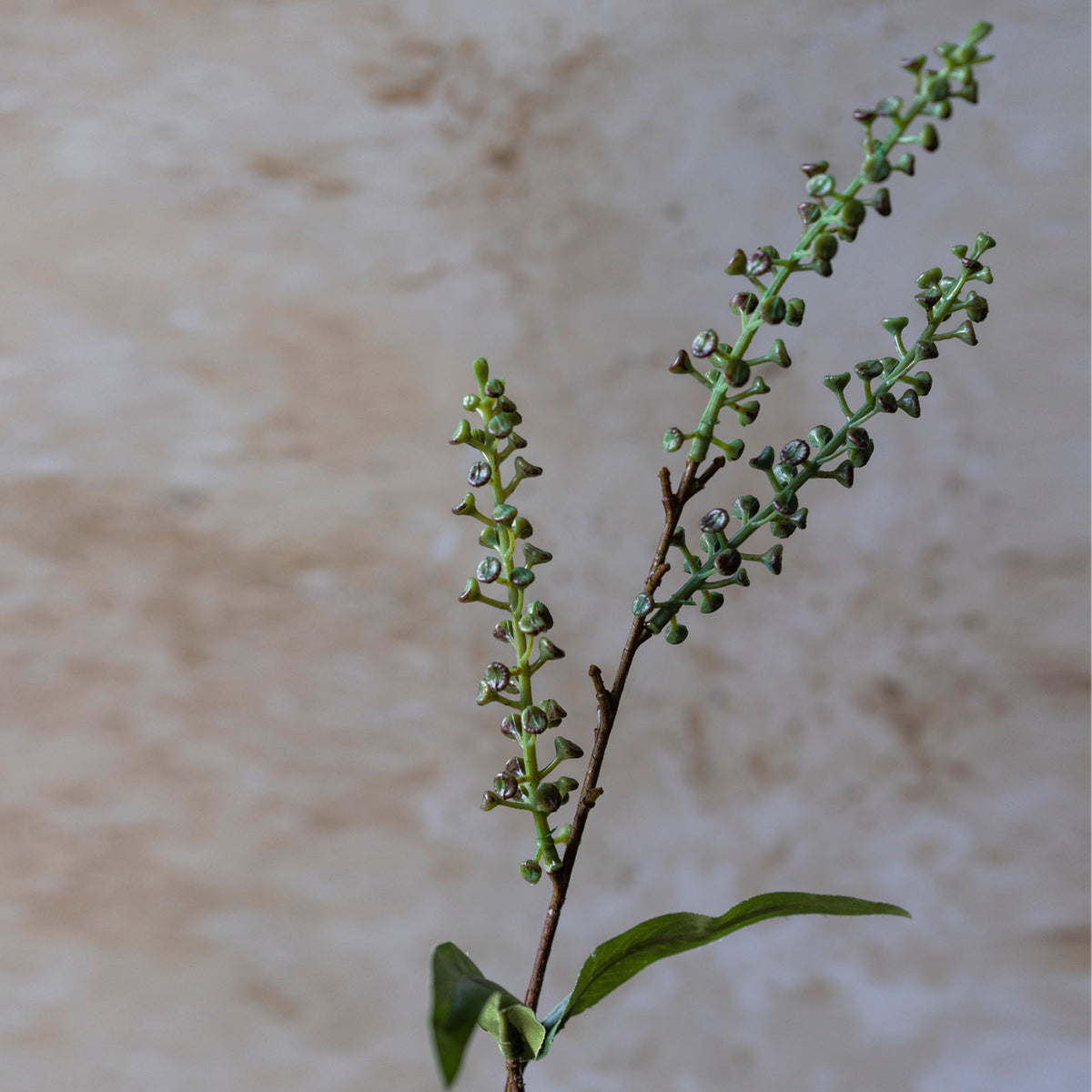 Myrtle Stem – Pink Antlers