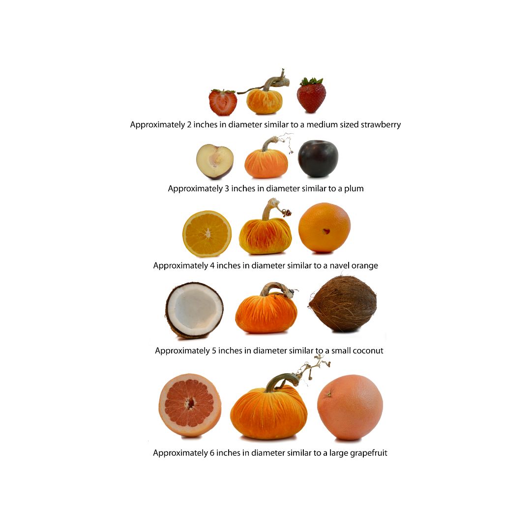 Violet Velvet Pumpkin – Pink Antlers